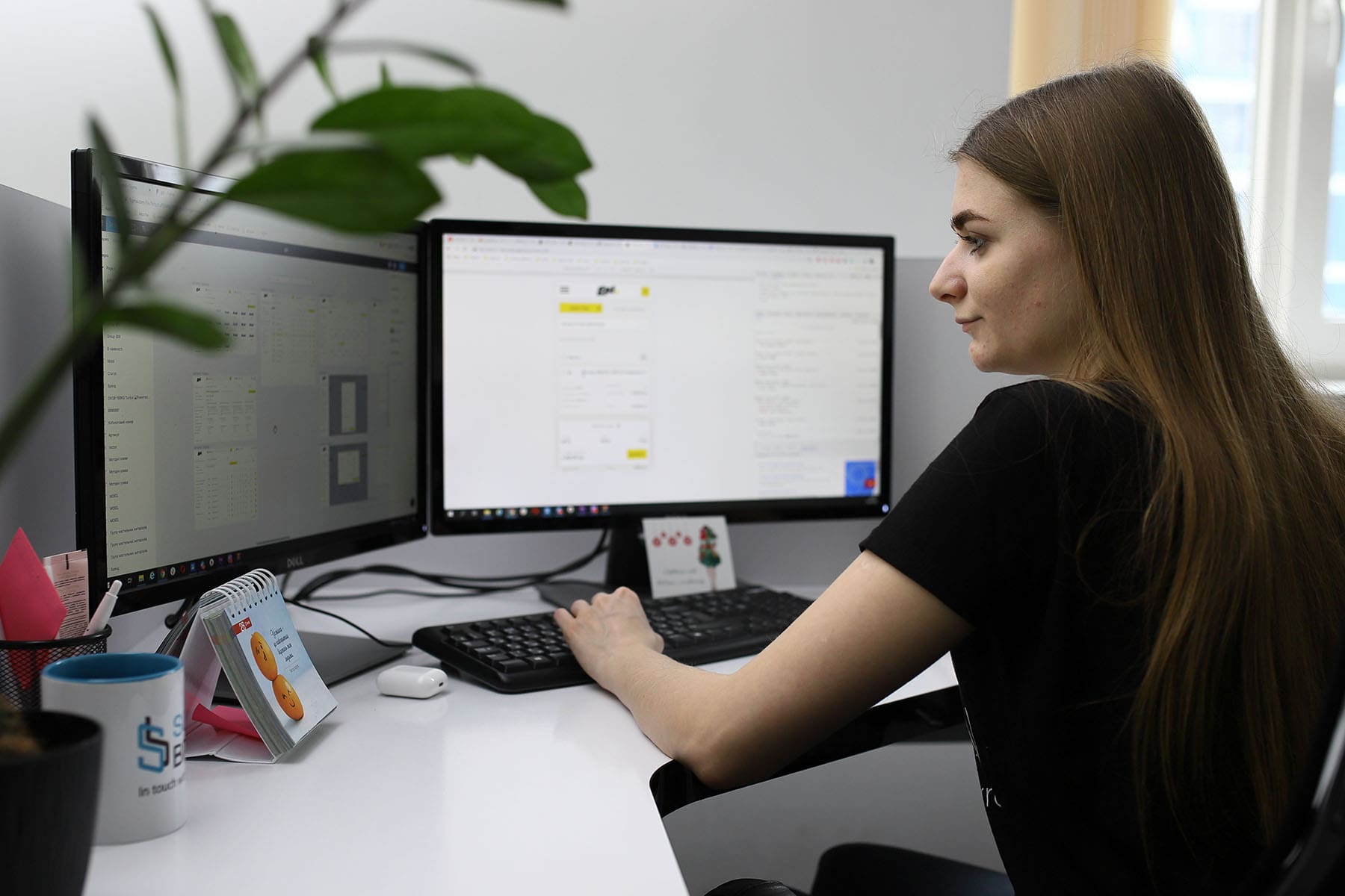 SolidBrain - Professional Web Development Services